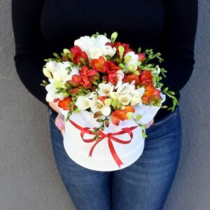 Frezijos | Frezijų pristatymas Vilniuje | Pristatome Gėles