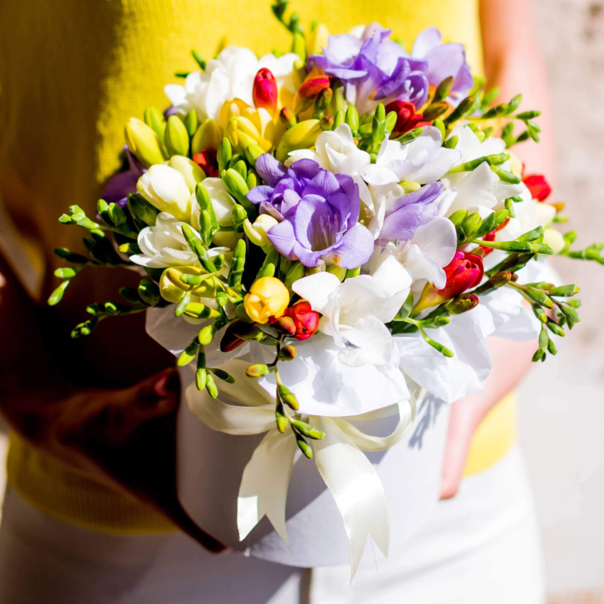 Frezijų dėžutė „Trispalvis linkėjimas“ | Gėlių dėžutės | Pristatome Gėles