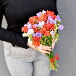 Frezijos | Frezijų pristatymas Vilniuje | Pristatome Gėles